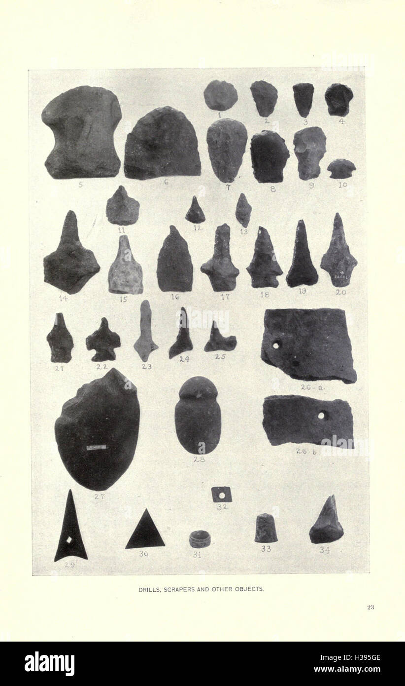 This work offers an in-depth exploration of the indigenous peoples of ...