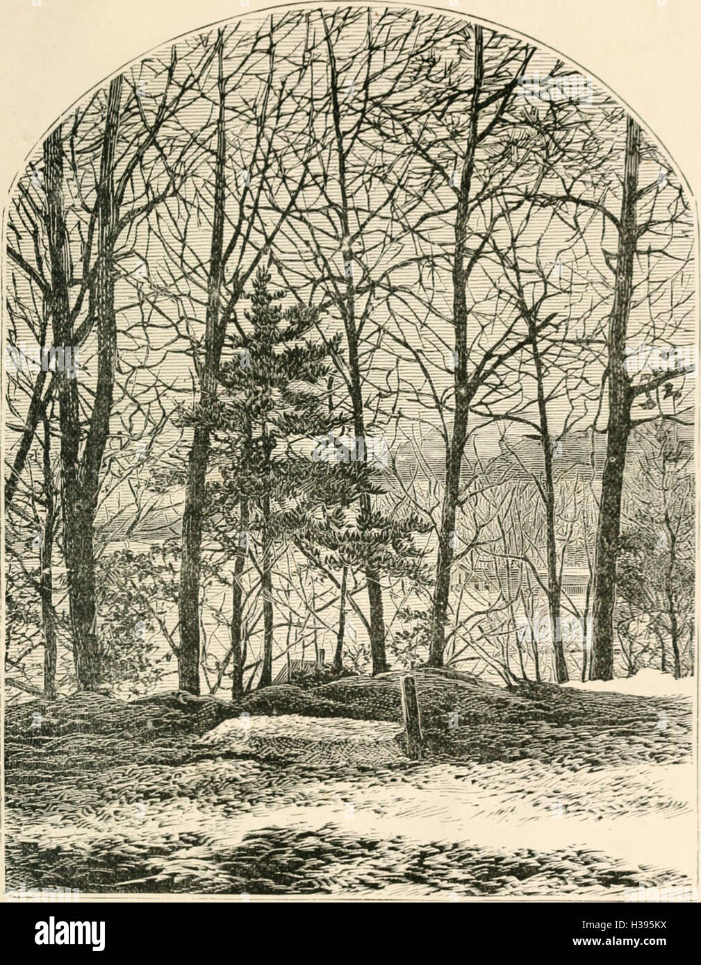 Col james fisk jr hi-res stock photography and images - Alamy