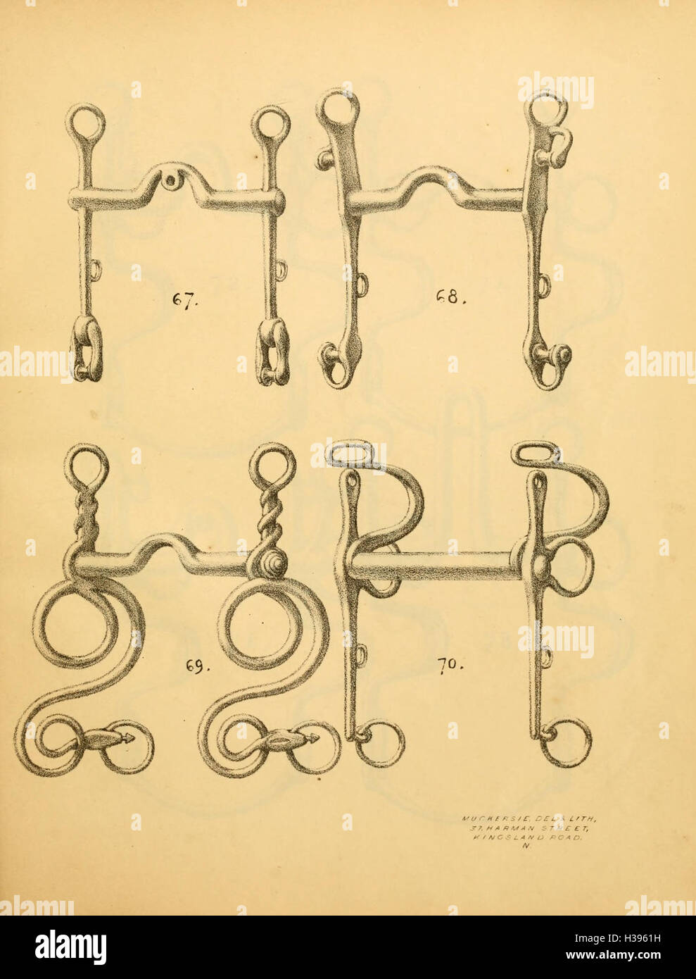 Horse harness fittings hi-res stock photography and images - Alamy