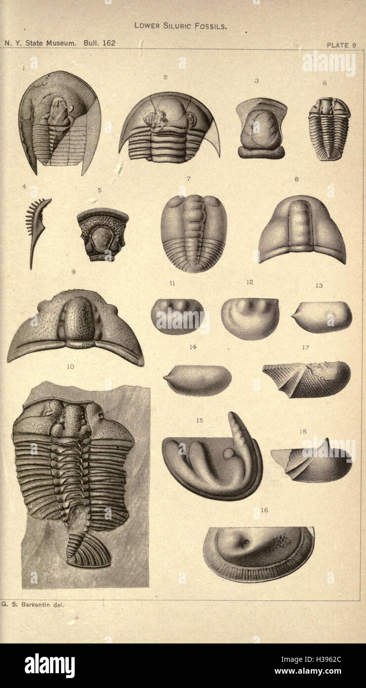 An exploration of the Lower Silurian shales in the Mohawk Valley ...