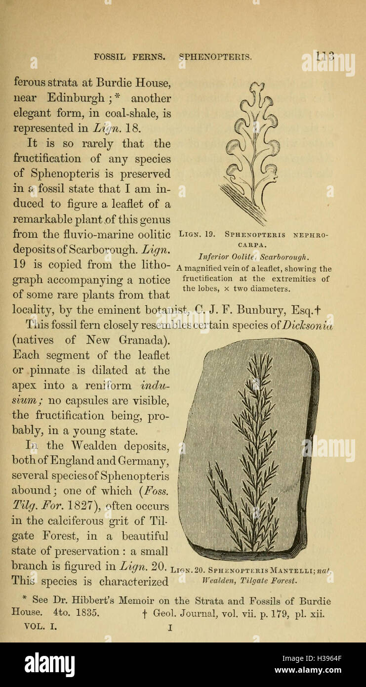This work introduces the basic principles of geology, with a focus on ...