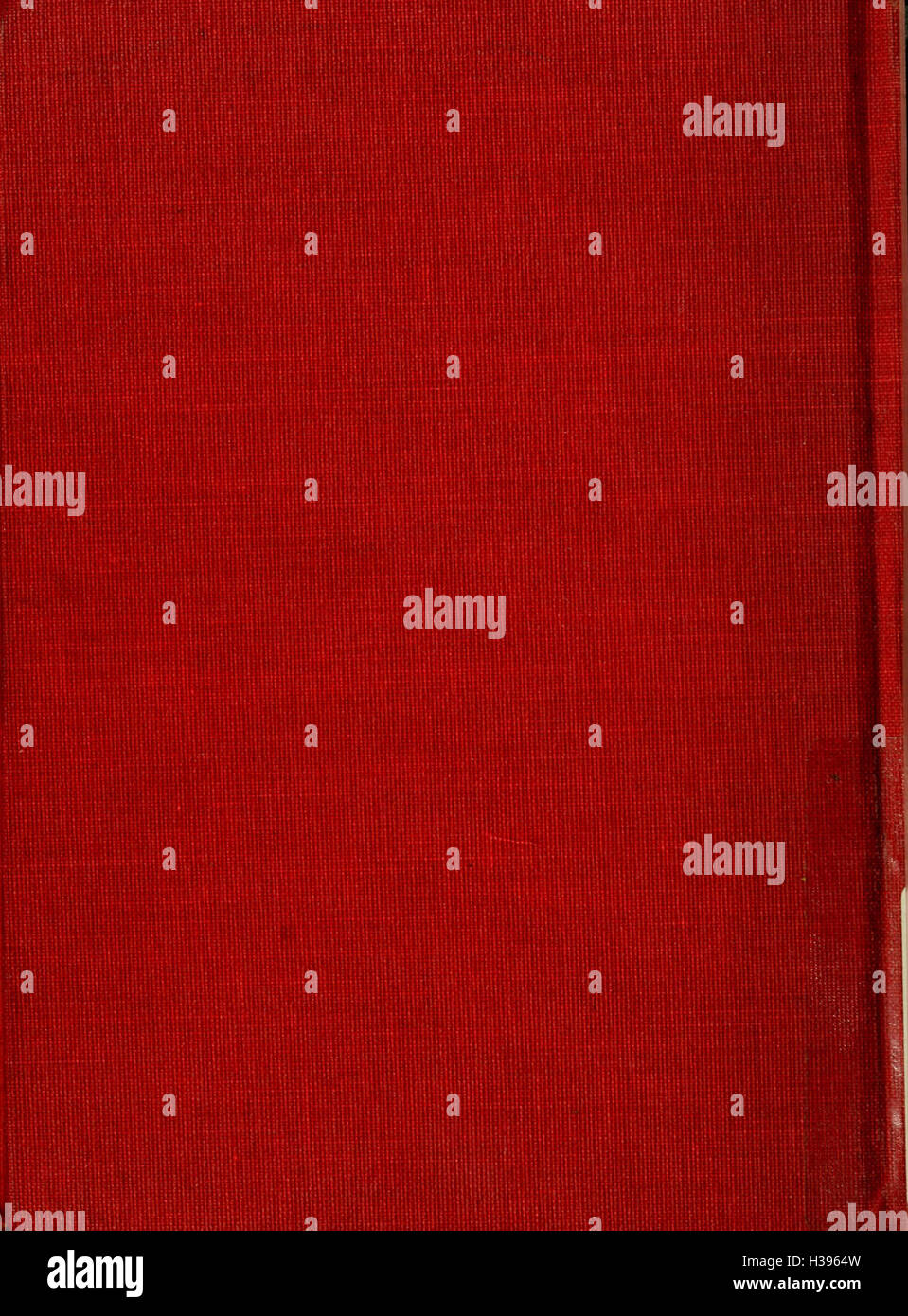 Guide training young horses hi-res stock photography and images - Alamy