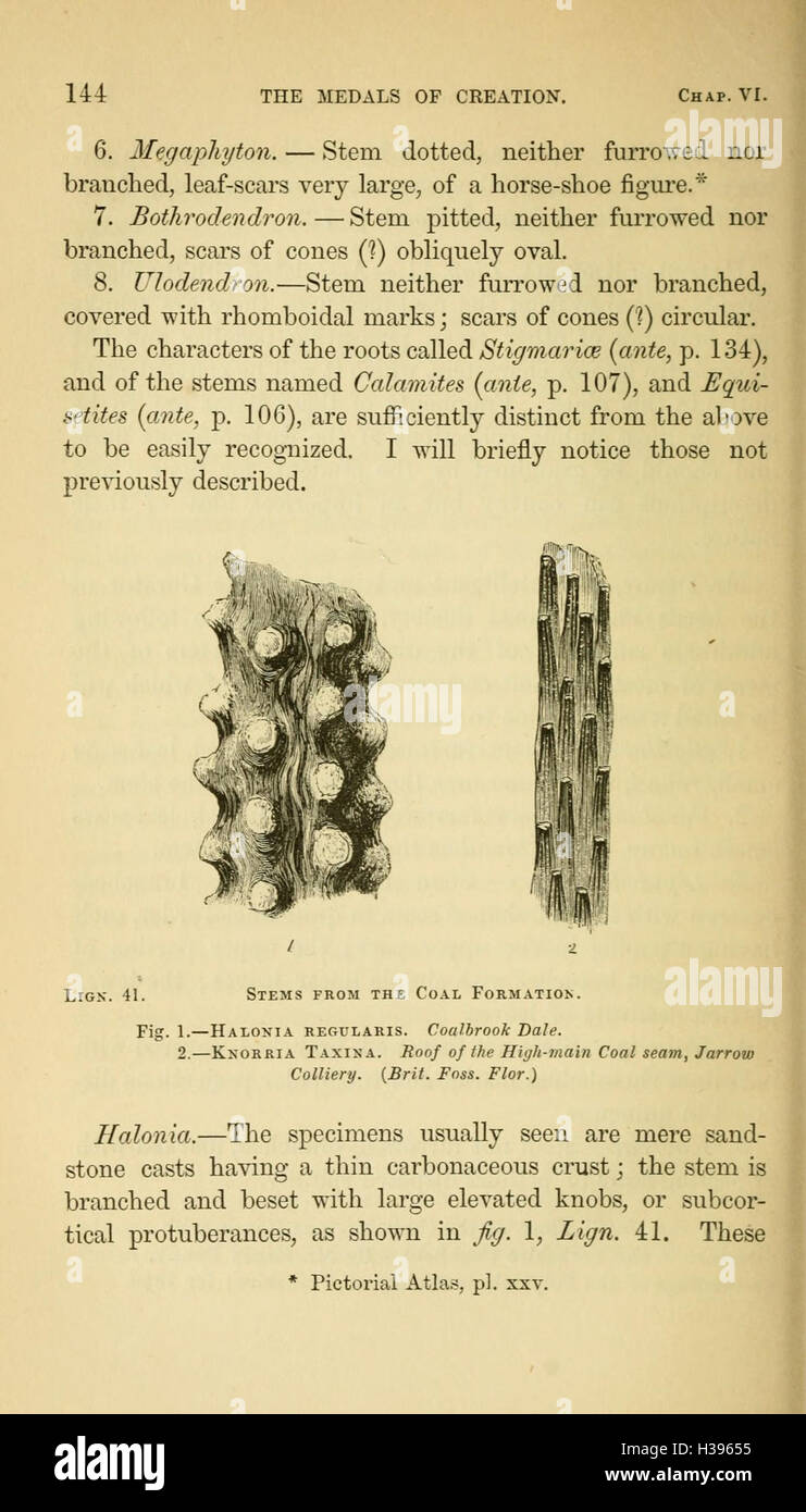 This section introduces basic geological principles, focusing on the ...