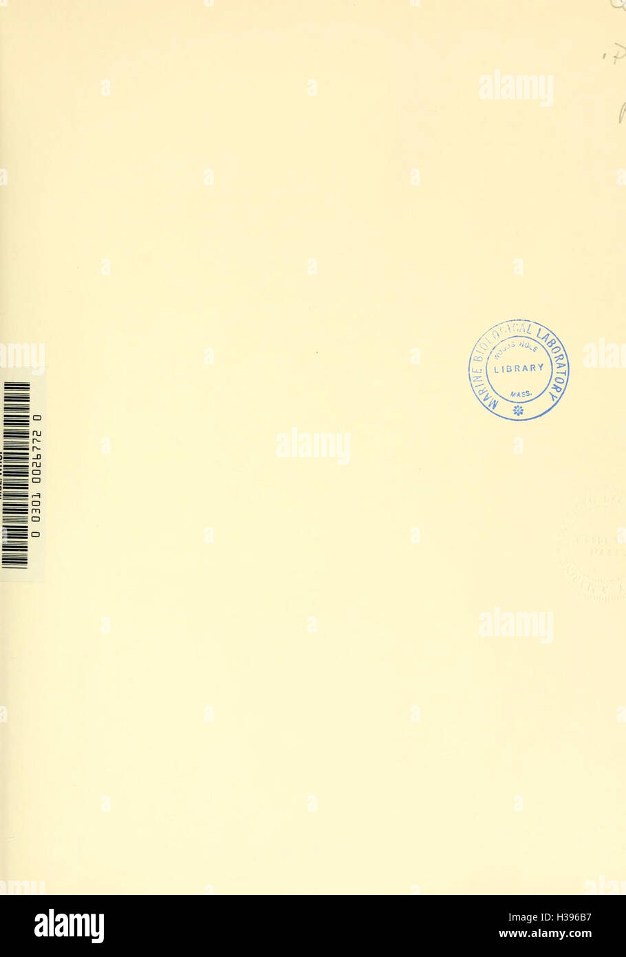 The Merycoidodontidae were an extinct family of ruminant mammals that ...