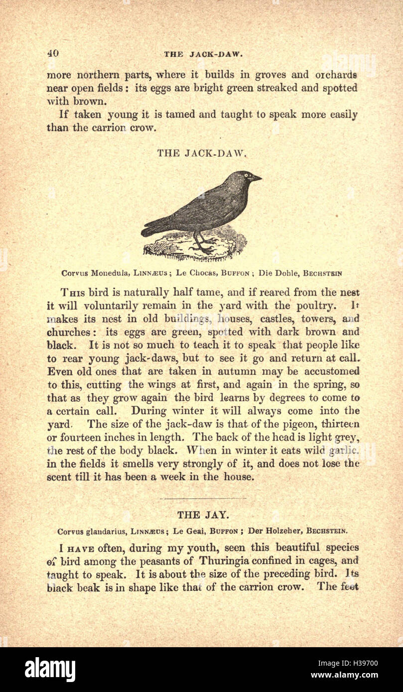 This work covers the natural history of cage birds, including their ...
