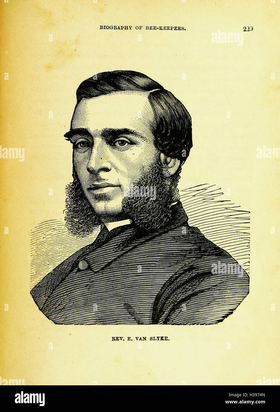 Text book page hi-res stock photography and images - Alamy