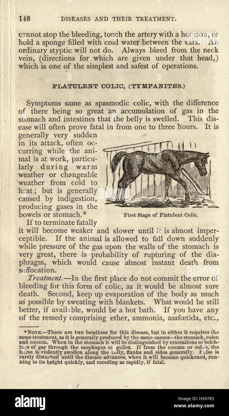 This guide provides a comprehensive system for educating horses ...