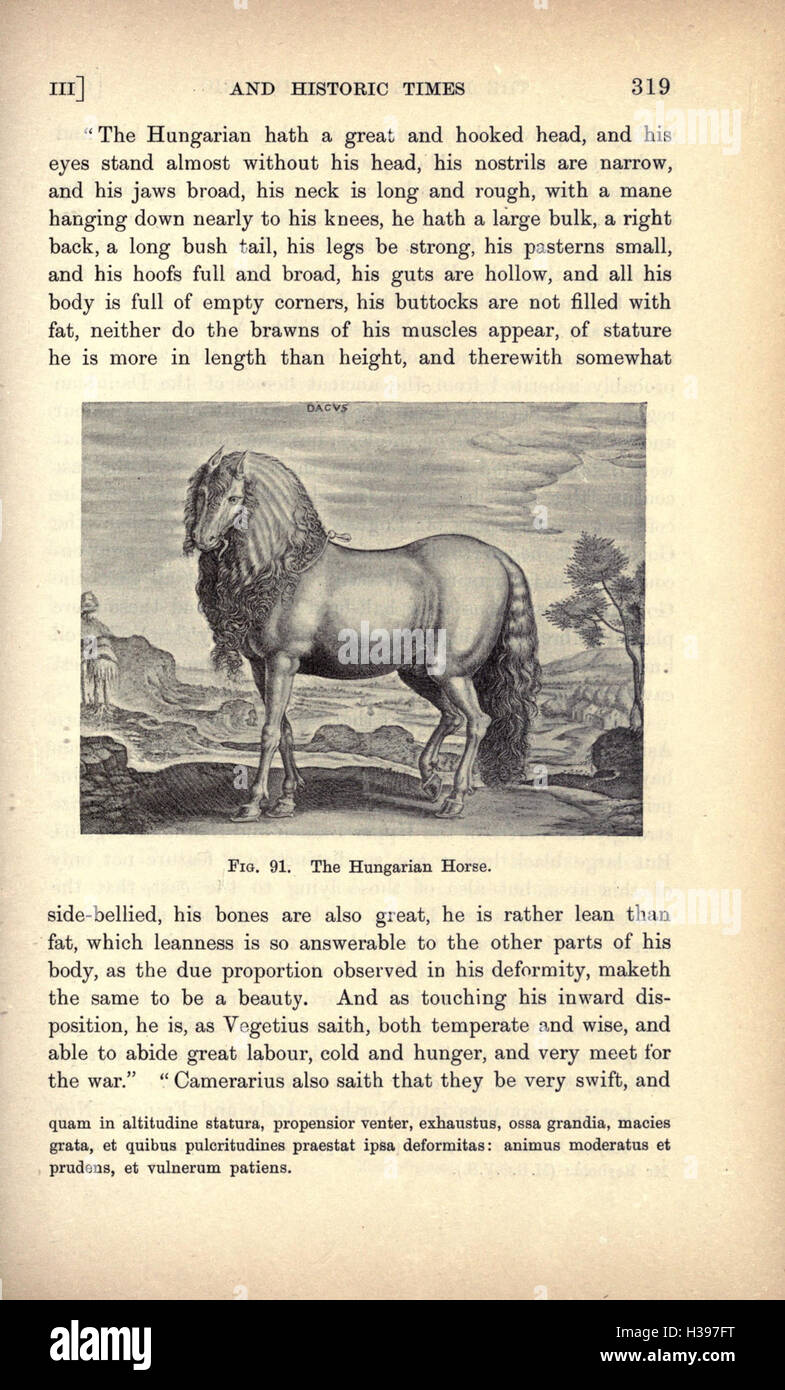 A historical study on the origins of the thoroughbred horse and its ...