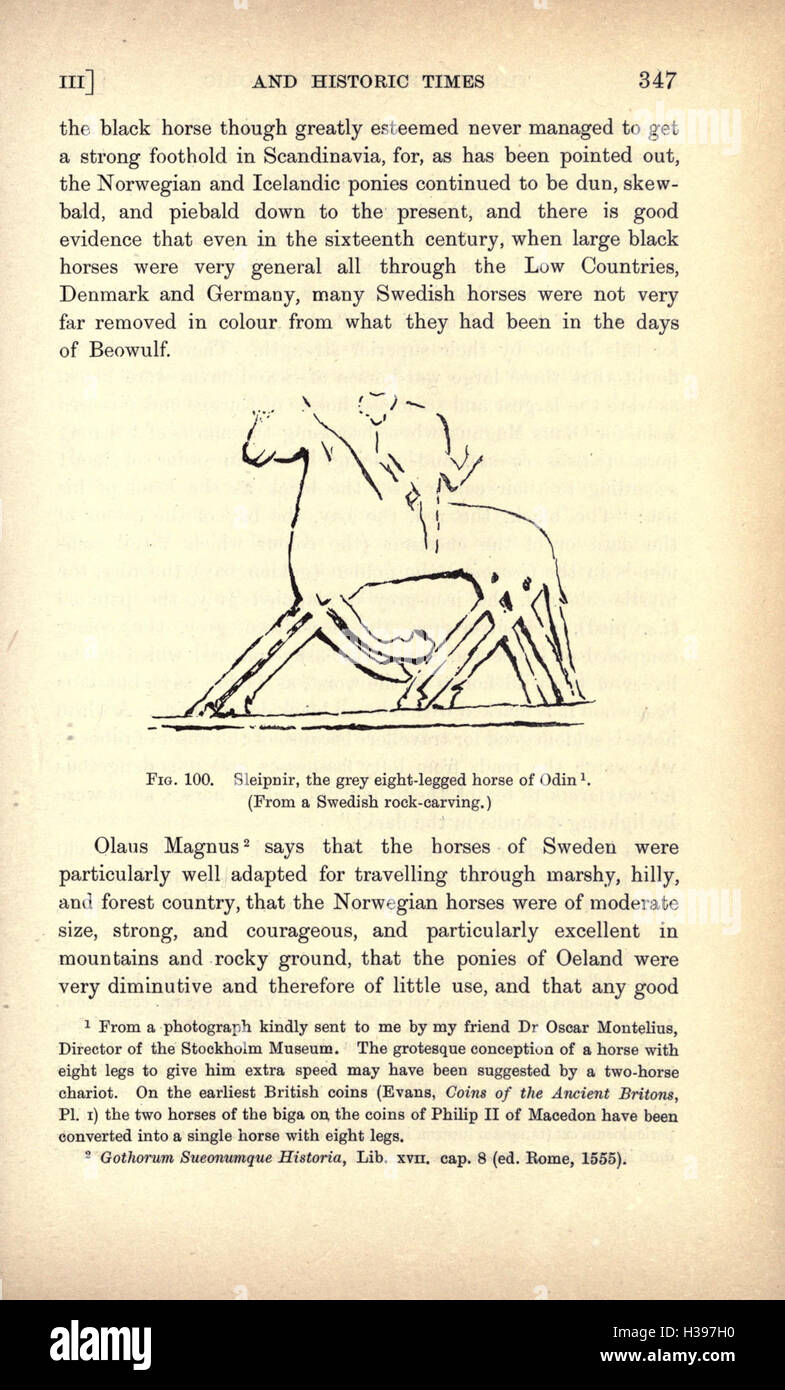 This text explores the historical development and significance of the thoroughbred horse. It ...