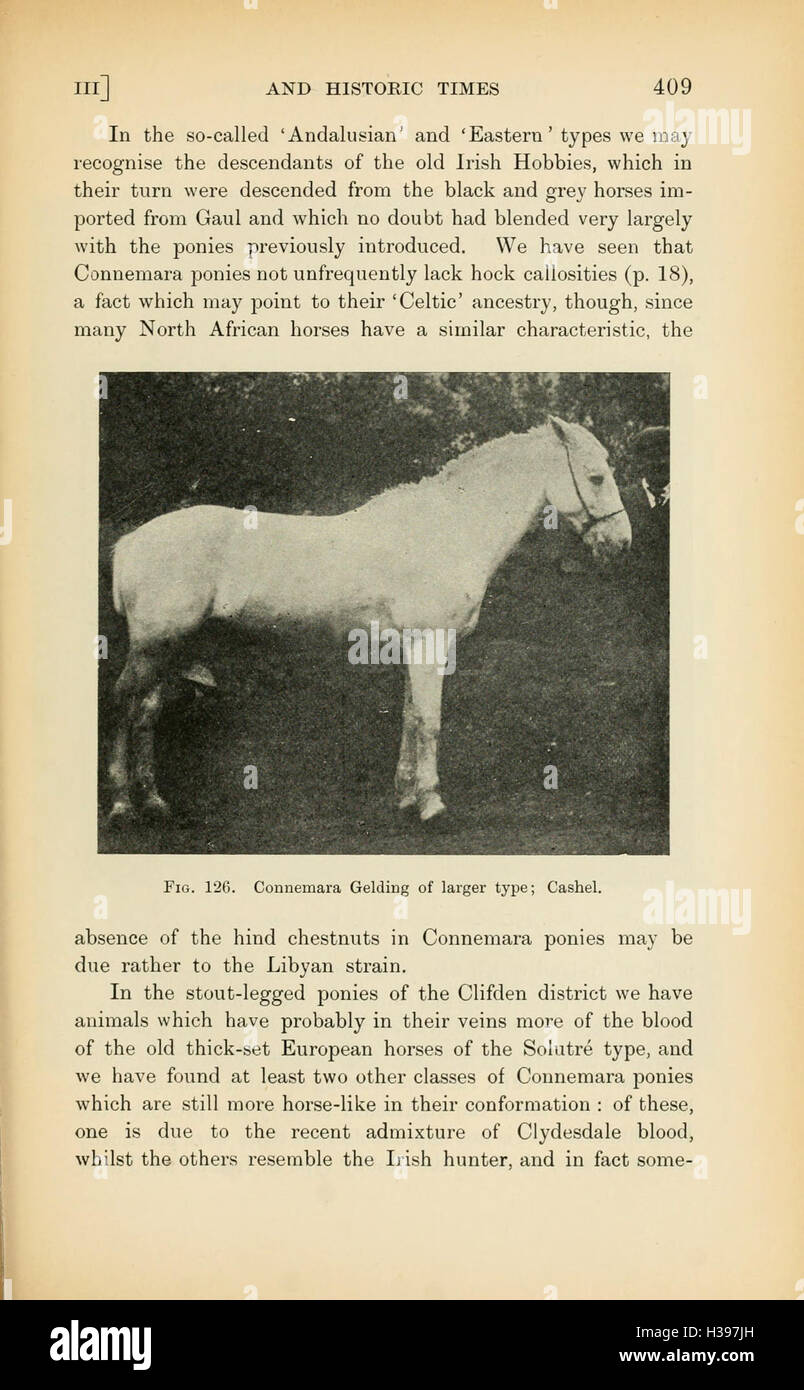 This work explores the origins and historical influence of the ...