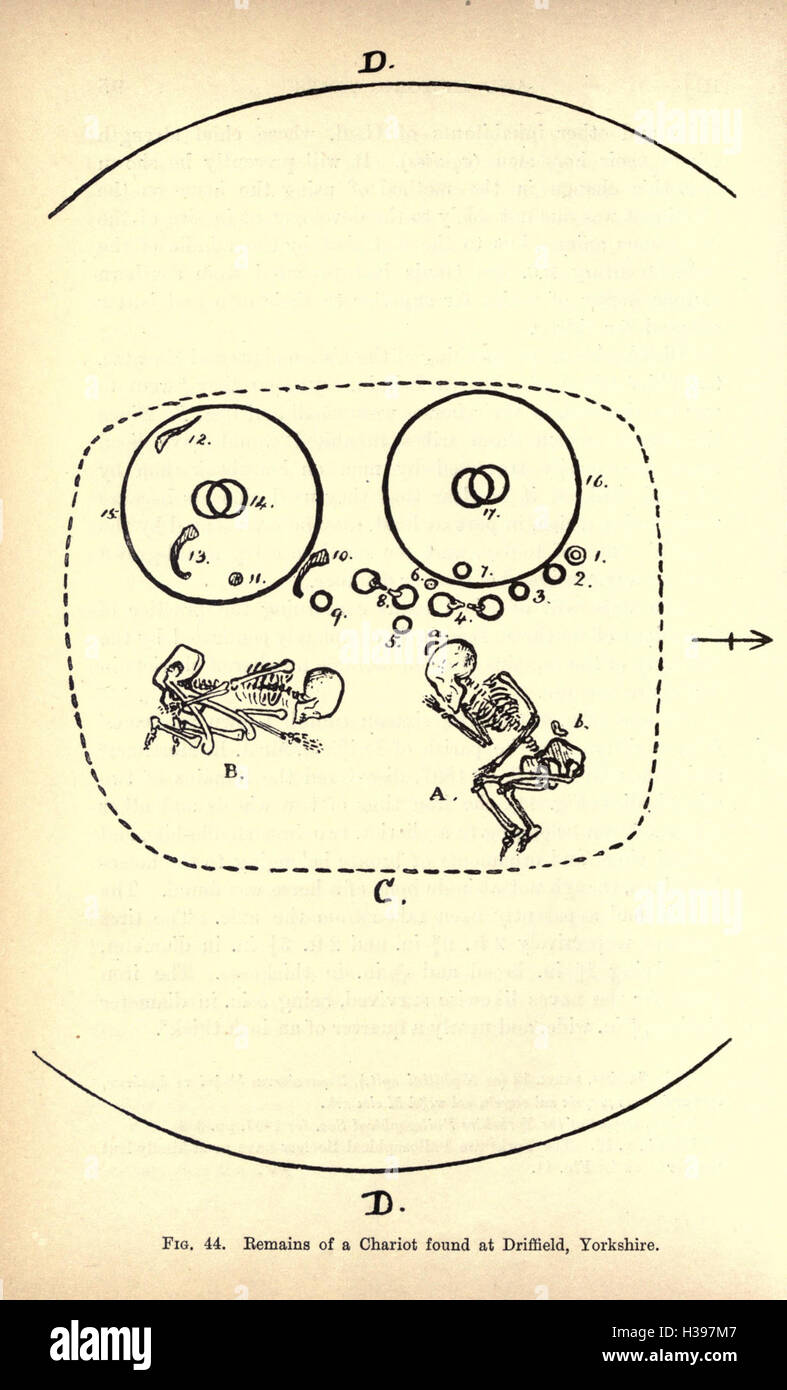 This work explores the origins of the thoroughbred horse and its ...