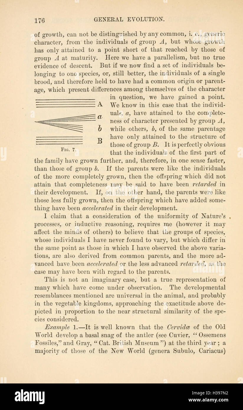 Work explores concept natural hi-res stock photography and images - Alamy