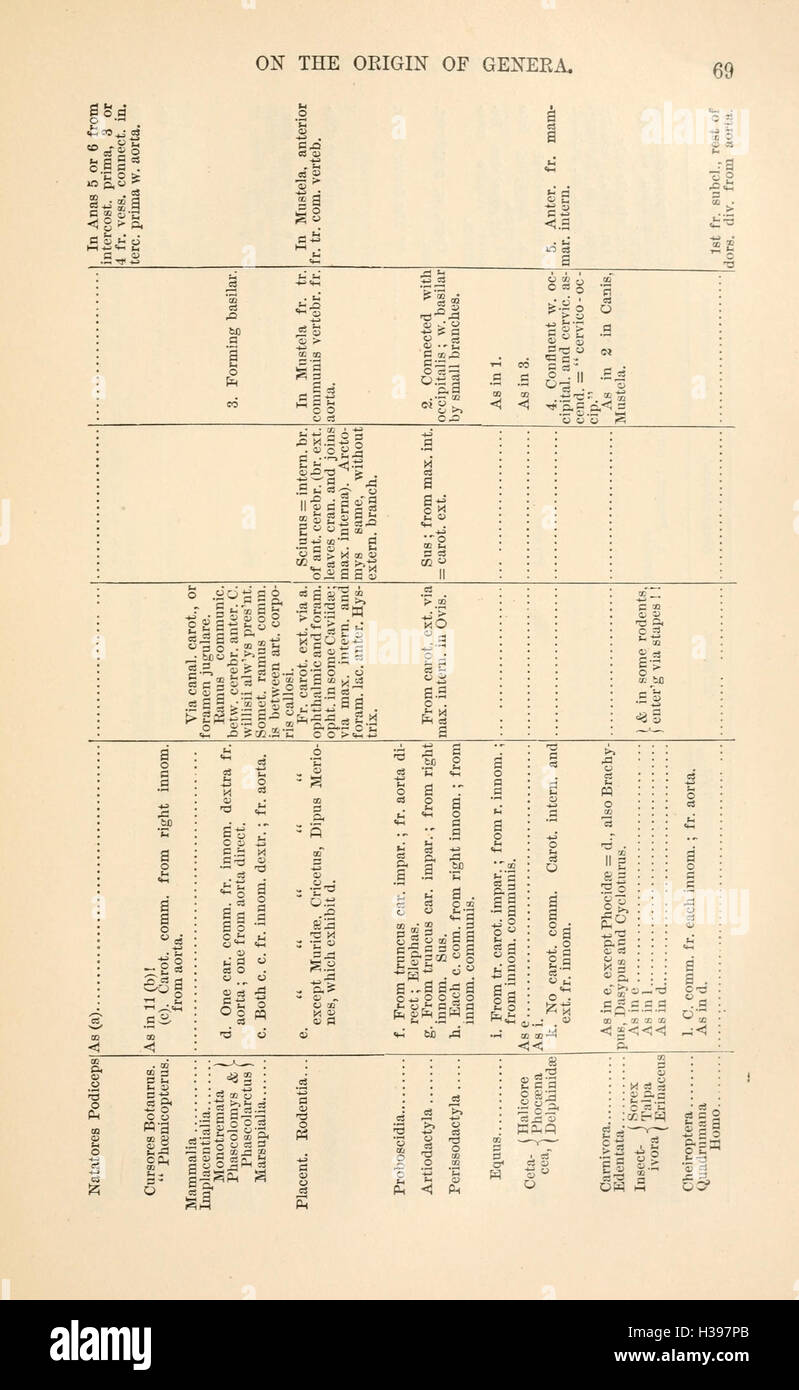 An exploration of natural selection, focusing on the process through ...