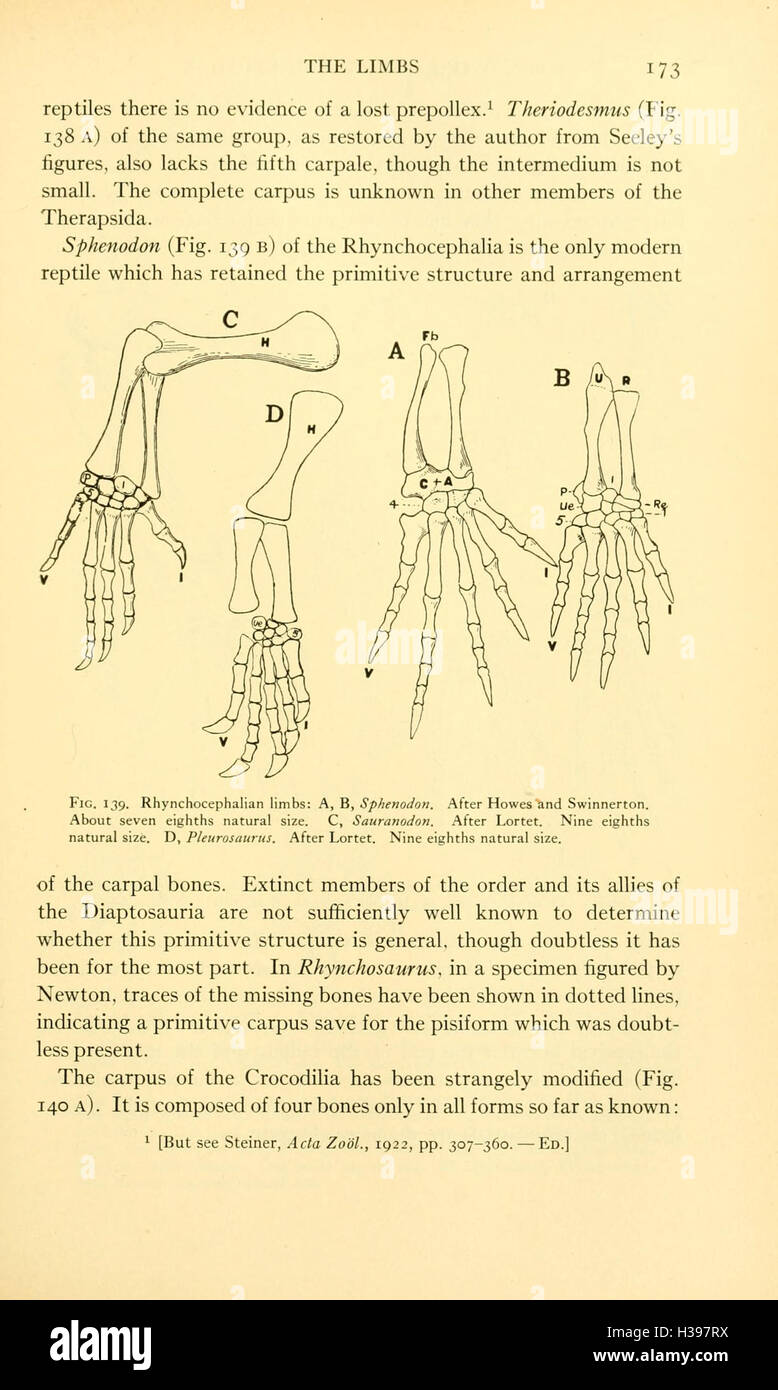 This work examines the skeletal structure of reptiles, detailing their ...
