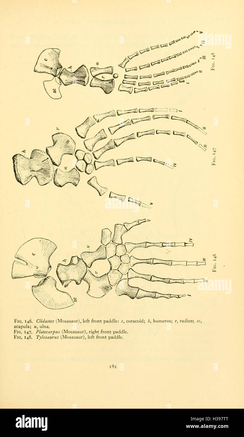 This page from 'The Osteology of the Reptiles' provides a detailed ...