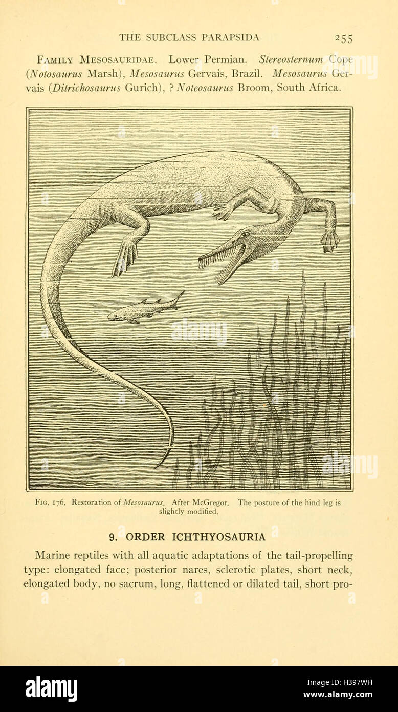 The osteology of the reptiles (Page 255) BHL59 Stock Photo - Alamy