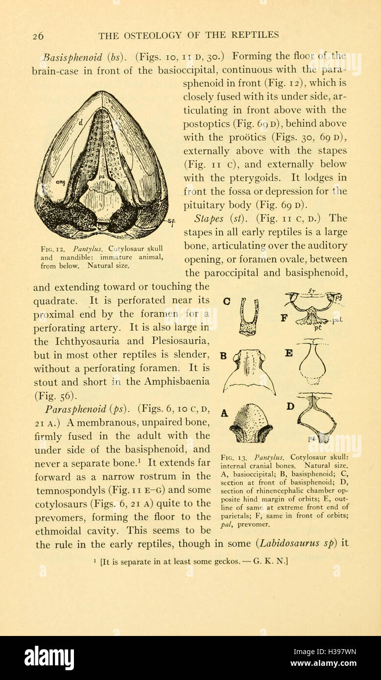This page discusses the osteology (bone structure) of reptiles ...