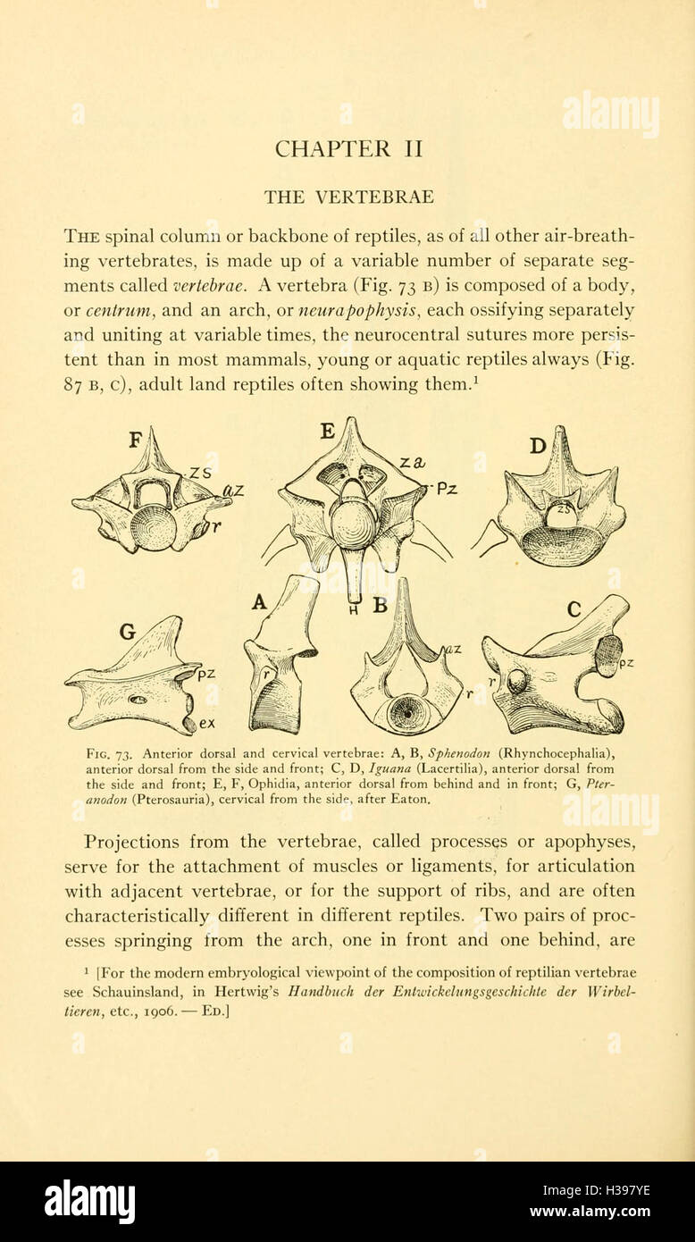 This page from *The Osteology of the Reptiles* details the skeletal ...