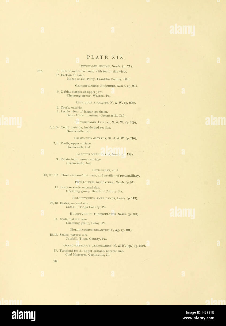 This text focuses on the Paleozoic era fish species of North America ...