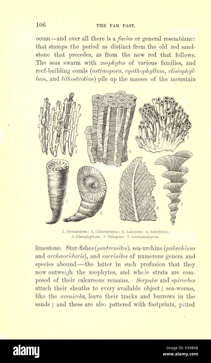 This work examines the evolution of life on Earth, comparing past ...