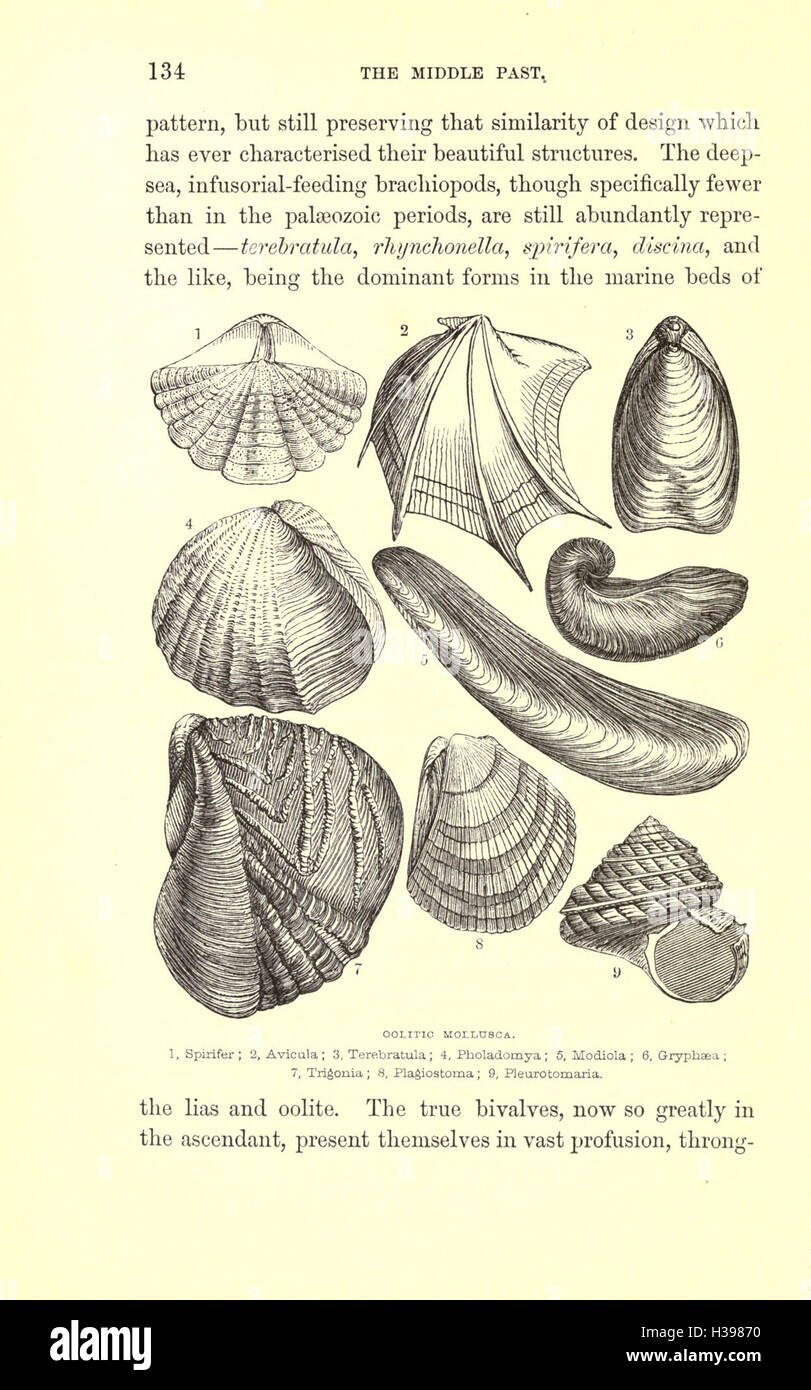 This text explores Earth's biological and geological evolution ...