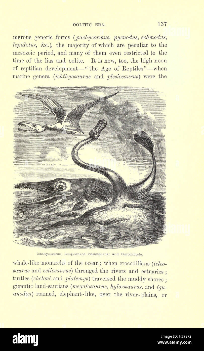 This work explores the history and evolution of life on Earth ...