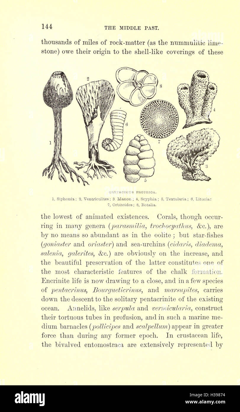 This work provides an overview of the Earth's biological and geological ...