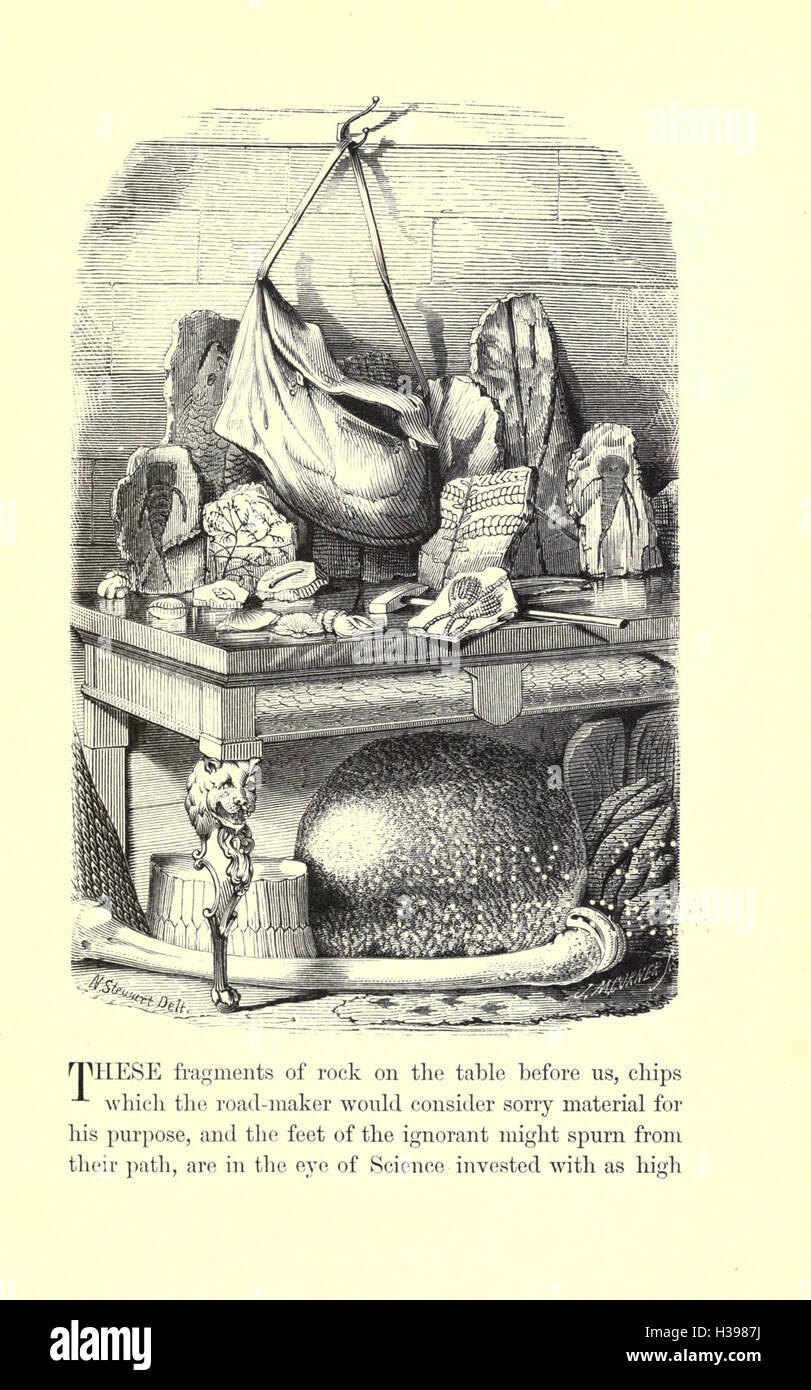 This text explores the history and current state of Earth, discussing ...