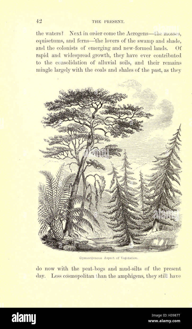 This text provides an overview of the Earth's history, detailing its ...