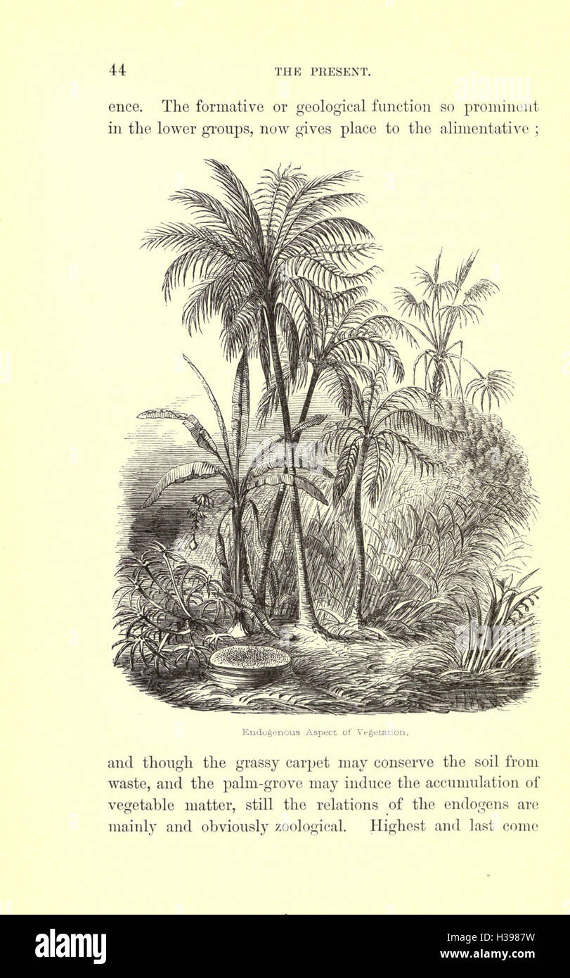 This work examines the history of Earth's life forms, from ancient ...