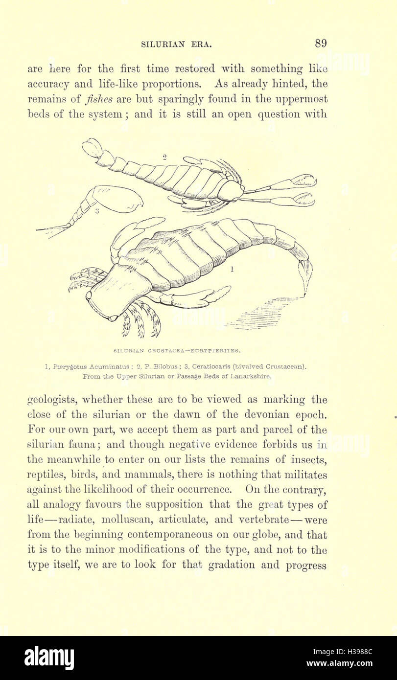 This work compares the Earth's past ecosystems and life forms with the ...
