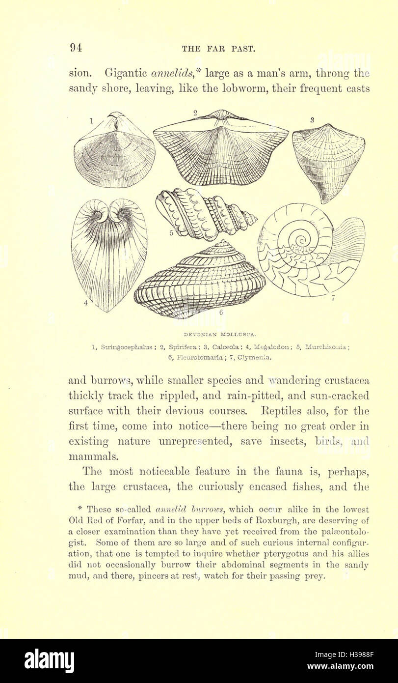 This work compares the Earth’s history with current geological ...