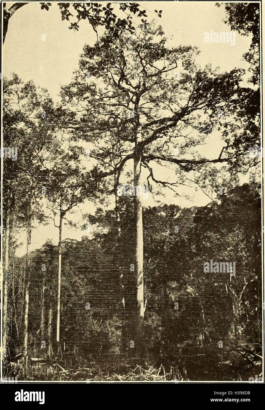 This journal offers scientific research and findings from the ...