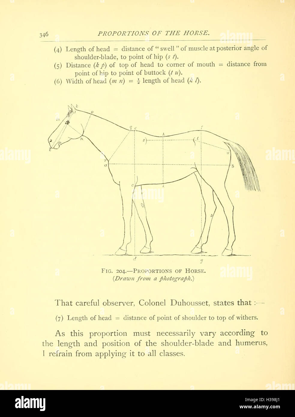 This text discusses the anatomical features and key characteristics of ...