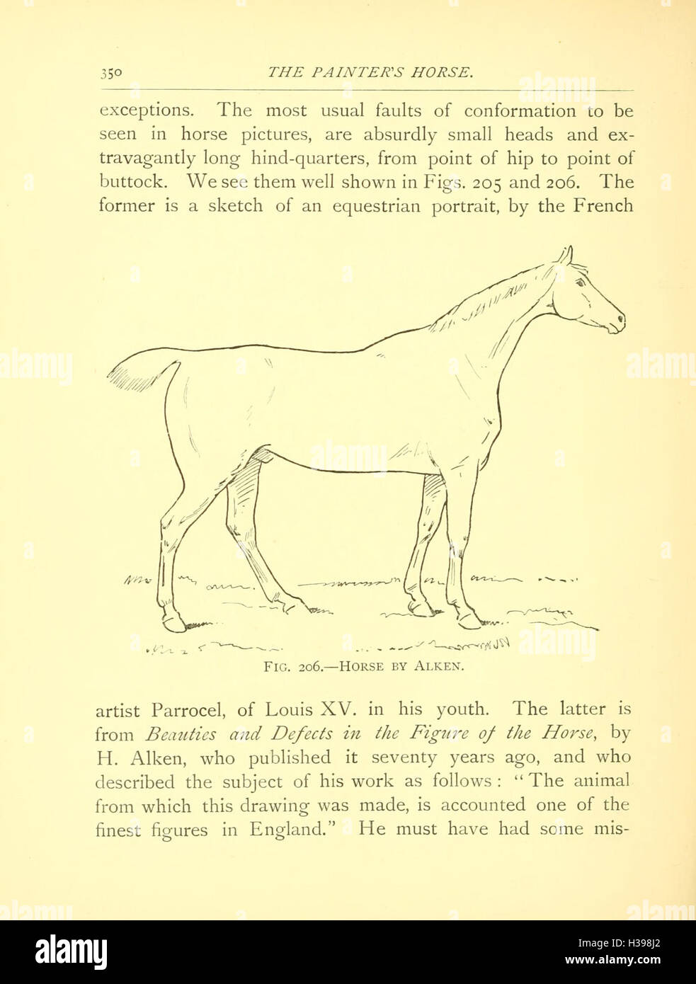 This text discusses the various anatomical features and physical ...