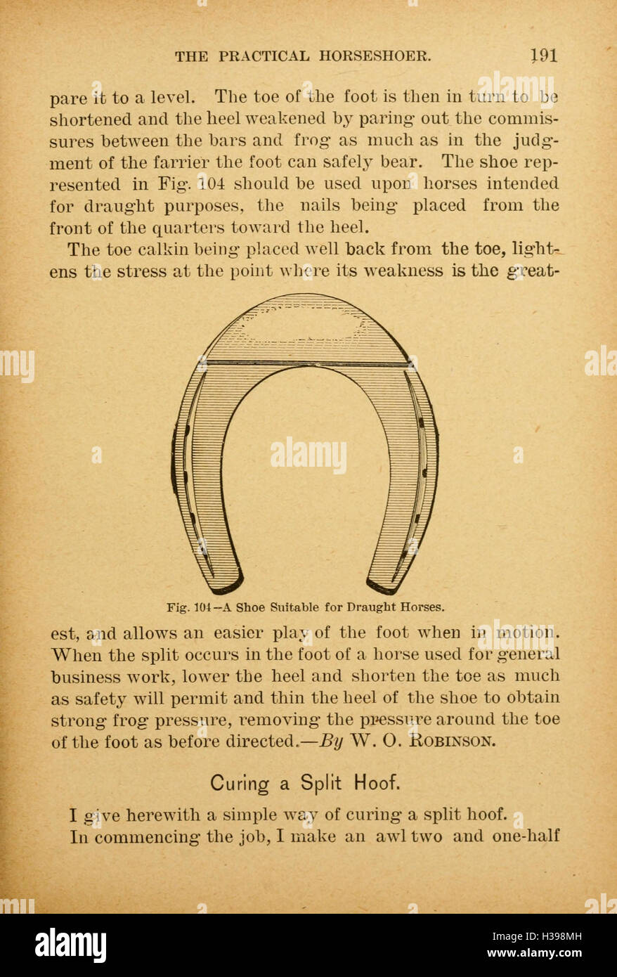 The practical horseshoer (Page 191) BHL192 Stock Photo - Alamy