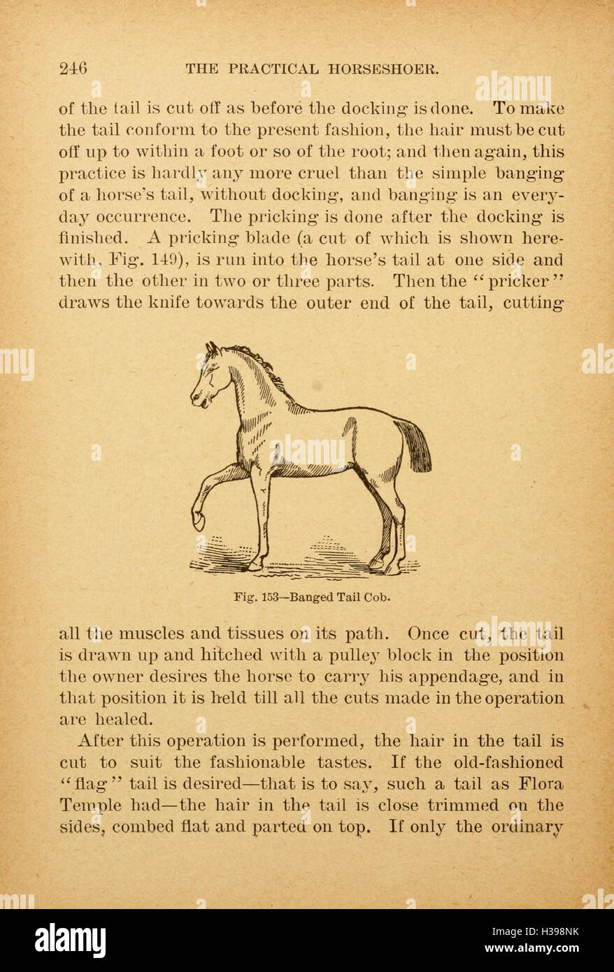 This work focuses on practical horseshoeing techniques, covering the ...
