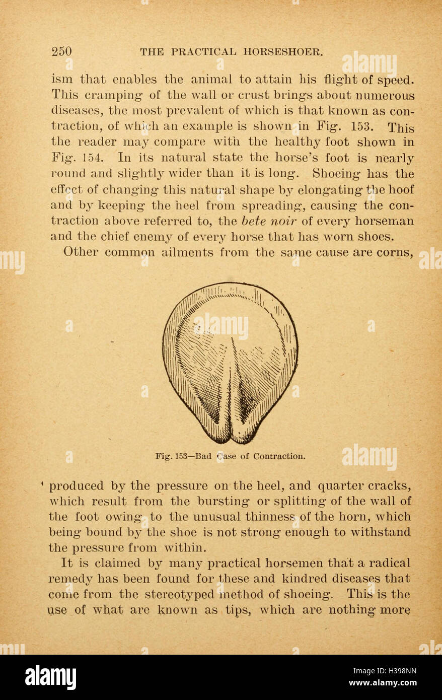 This guide offers practical techniques and methods for horseshoeing ...