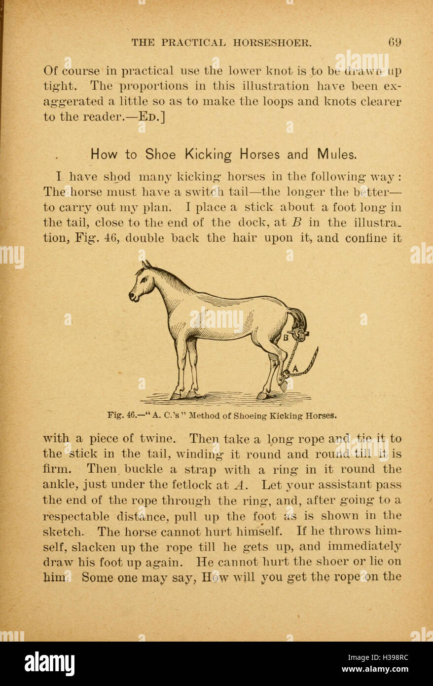 A practical guide for horseshoeing, covering techniques, tools, and the ...