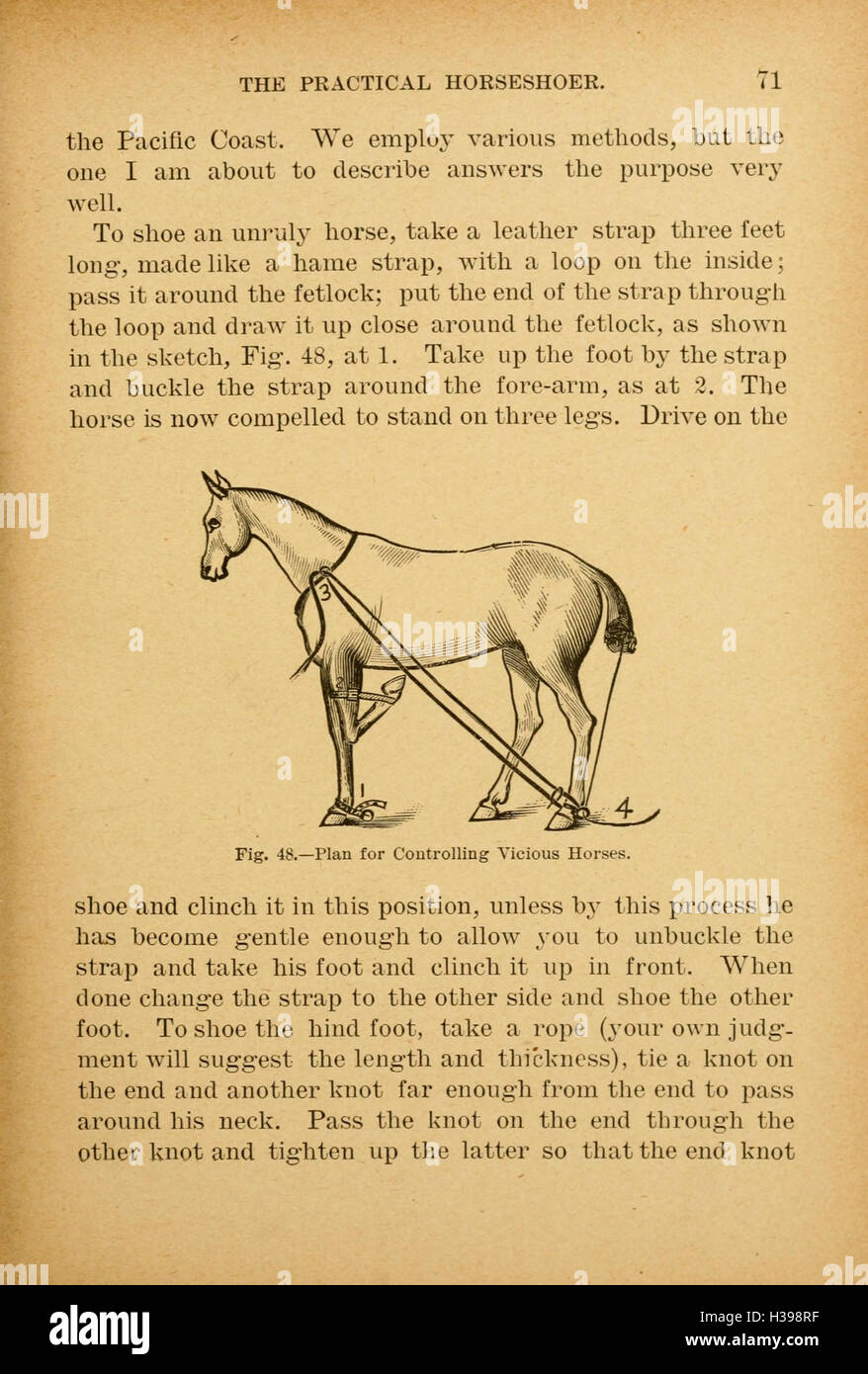 A practical guide for farriers, detailing the techniques and tools ...