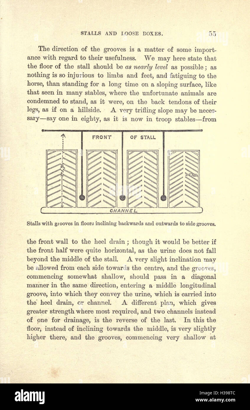 This guide provides practical advice on horse care and management ...