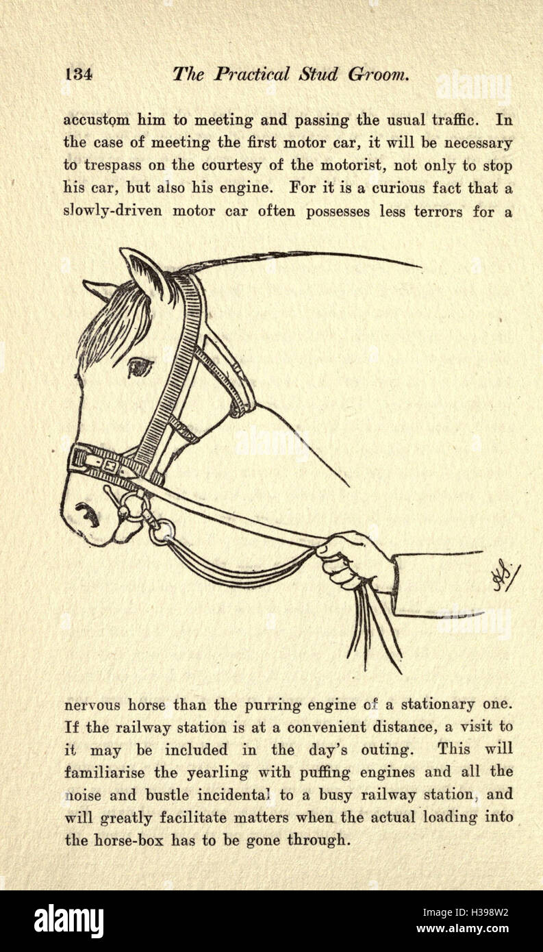This guide offers practical advice for managing stud horses, including ...