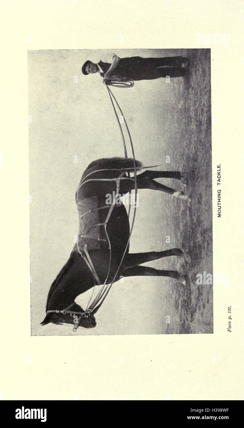 This guide provides practical advice on managing and maintaining horse ...