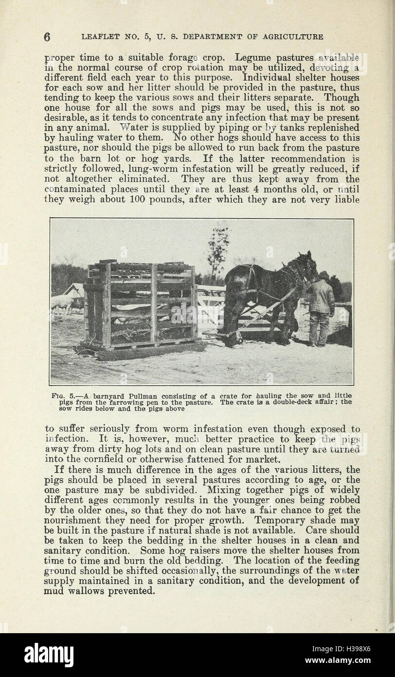 A study on the prevention of roundworms in pigs, detailing methods and ...