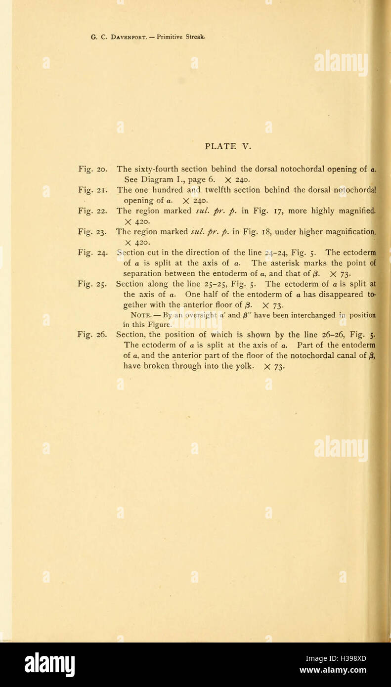 This plate depicts the development of the primitive streak and ...