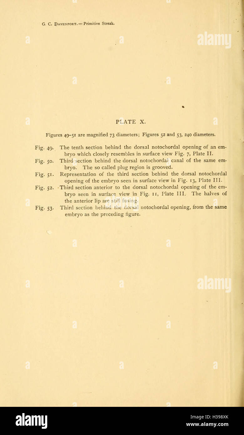 The primitive streak and notochordal canal in Chelonia (Description of ...