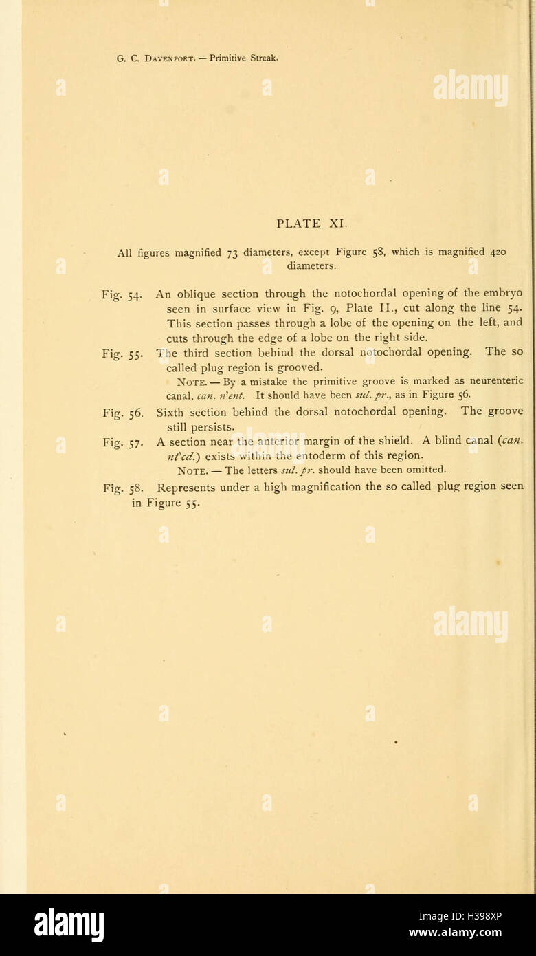 The primitive streak and notochordal canal in Chelonia (Description of ...