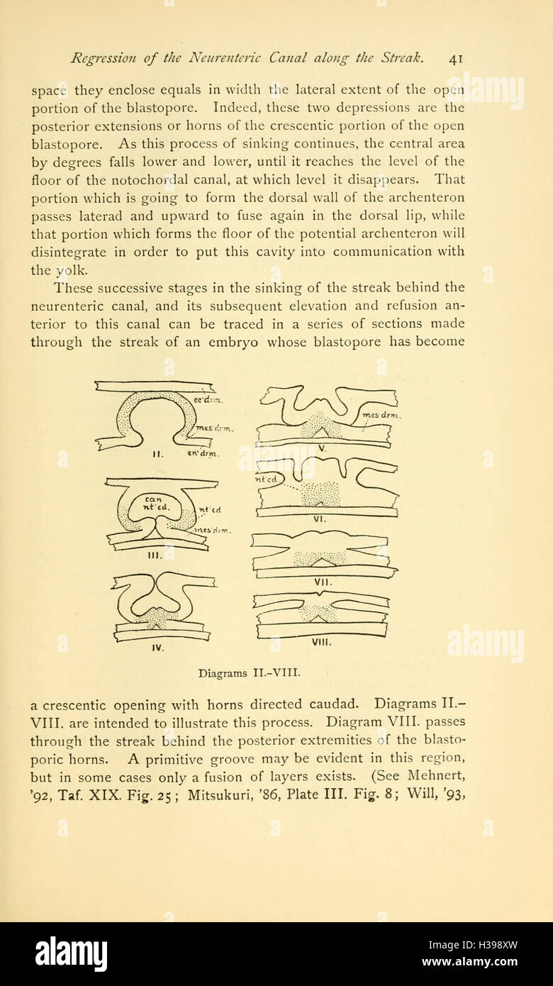 This study focuses on the embryological development of turtles ...