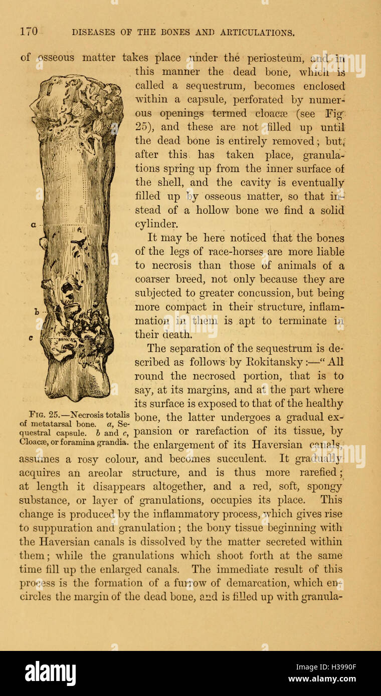 This guide discusses the core principles and methods of veterinary ...