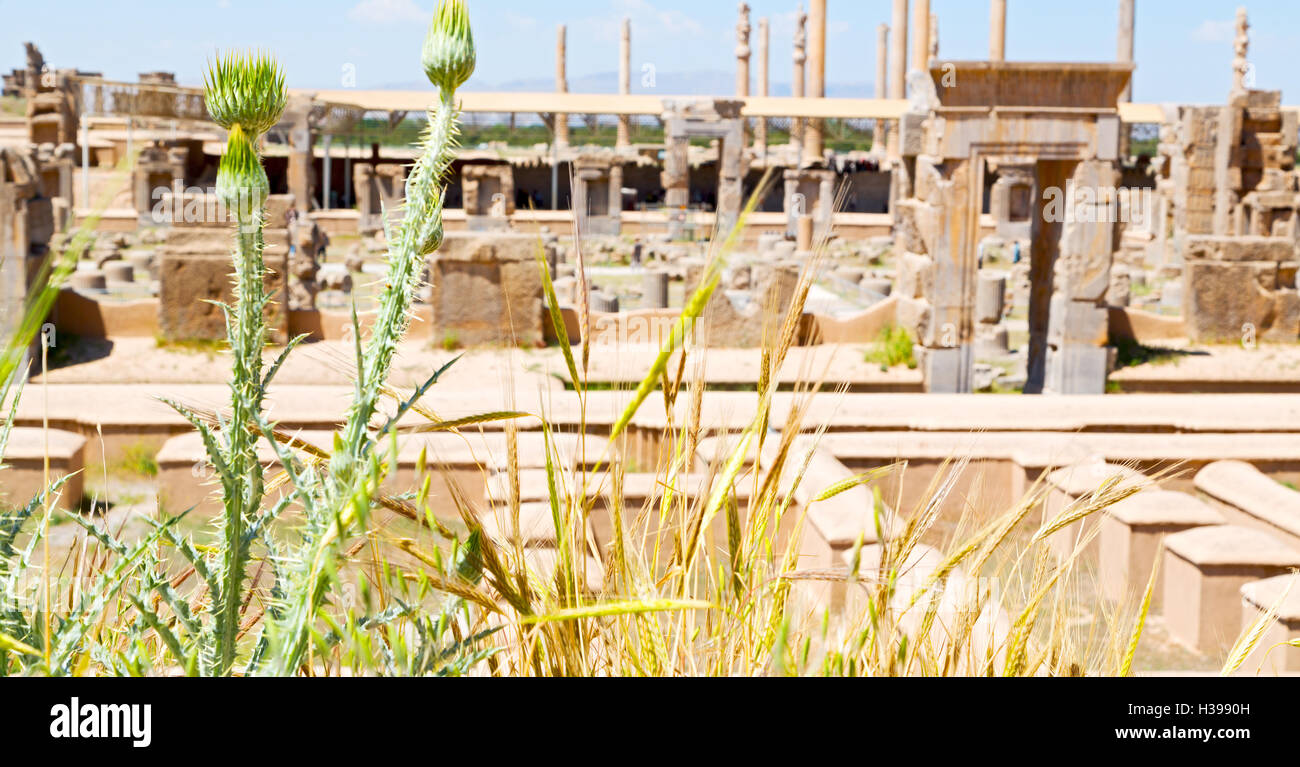 blur in iran persepolis the old ruins historical destination monuments ...